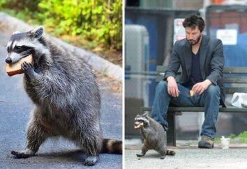 45 Hilarious Photoshop Battles That Left The Internet In Stitches