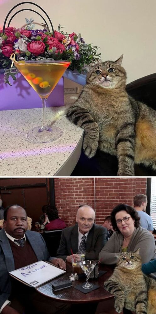 45 Hilarious Photoshop Battles That Left The Internet In Stitches