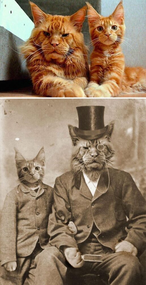 45 Hilarious Photoshop Battles That Left The Internet In Stitches