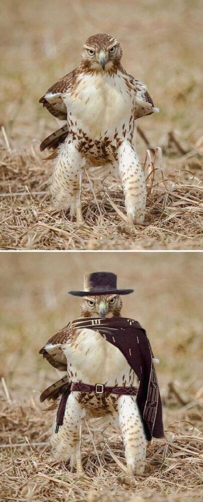 45 Hilarious Photoshop Battles That Left The Internet In Stitches