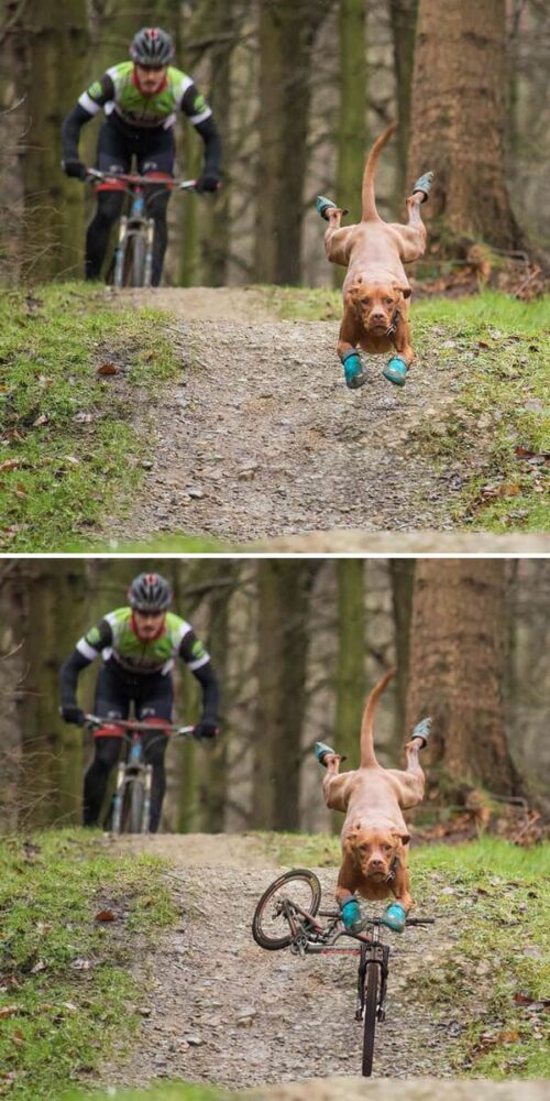 45 Hilarious Photoshop Battles That Left The Internet In Stitches