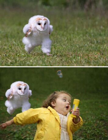 45 Hilarious Photoshop Battles That Left The Internet In Stitches