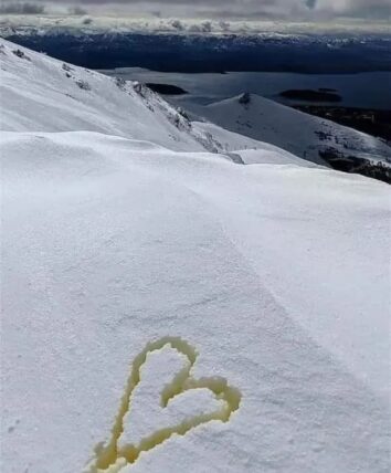 45 Funny Pictures That'll Turn Your Monday Frown Upside Down