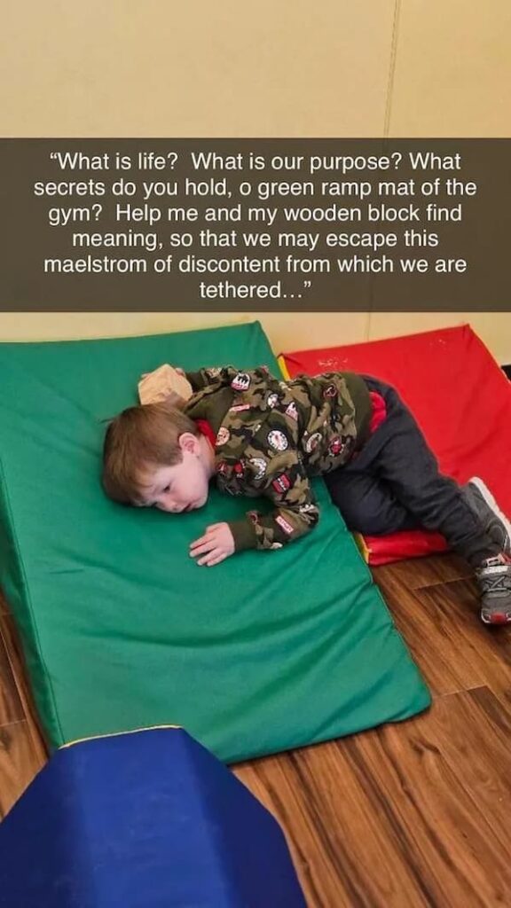 47 Of The Funniest Pictures On The Internet Guaranteed To Brighten Your Day