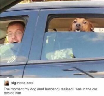 47 Of The Funniest Pictures On The Internet Guaranteed To Brighten Your Day
