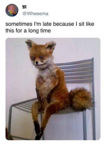 50 Funny Pictures To Jumpstart Your Day With Laughter