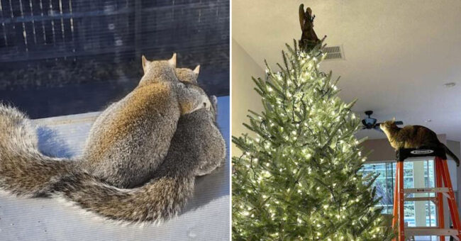 35+ Funny And/Or Random Pictures For Adding A Twist Of The Unexpected ...