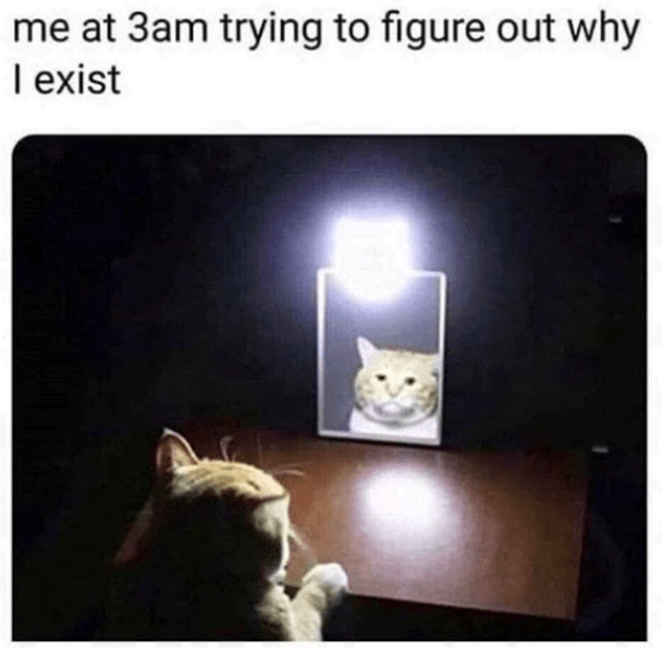 50 Self Deprecating Memes For Our Friends Who Live Life Waiting For The ...