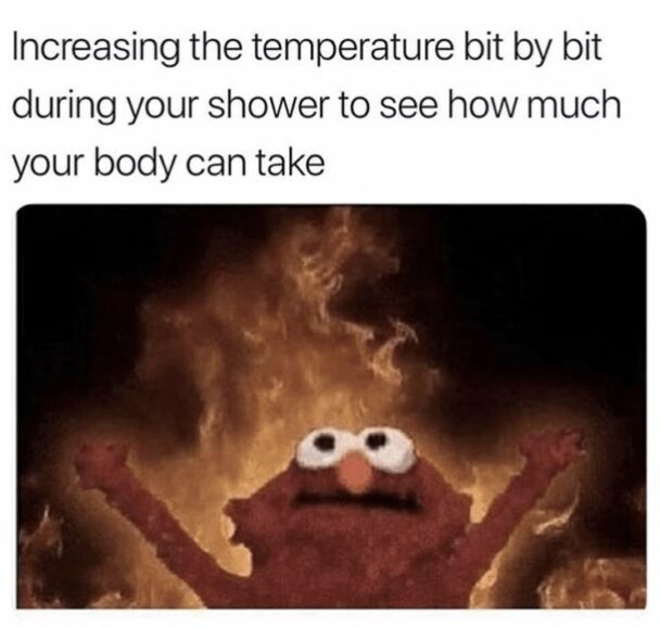 30 Funny Sesame Street Memes Packed With Nostalgia So You Don't Forget ...