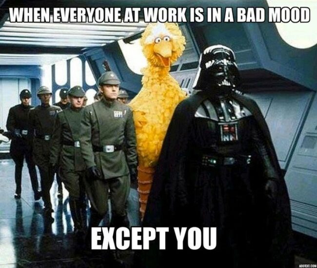 30 Funny Sesame Street Memes Packed With Nostalgia So You Don't Forget ...