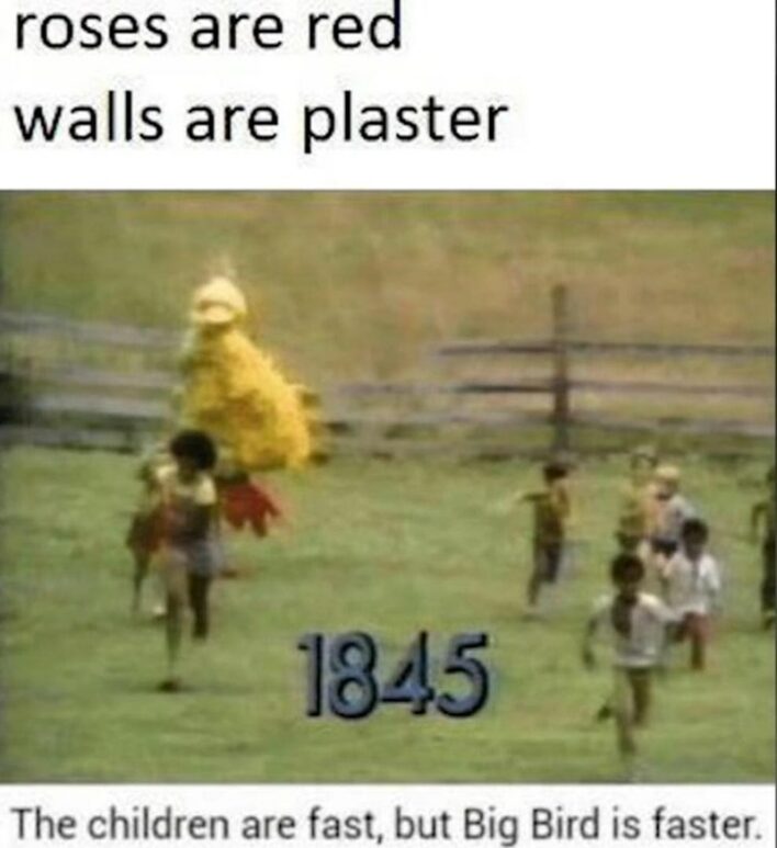 30 Funny Sesame Street Memes Packed With Nostalgia So You Don't Forget ...