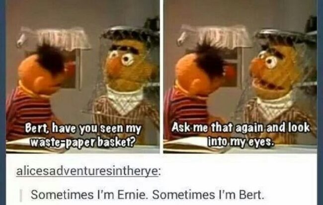 30 Funny Sesame Street Memes Packed With Nostalgia So You Don't Forget ...