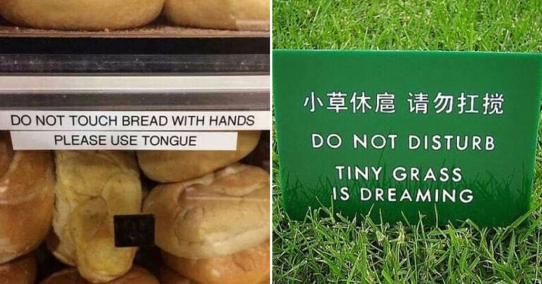 40 Funny Translation Fails That Will Have You Laughing In Every Language