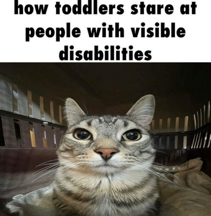 30 Funny Parenting Memes For Couples Trying To Wrangle A Toddler