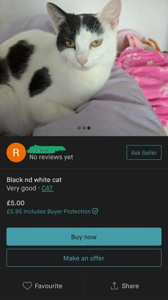 40 Hilarious Finds On Vinted That Were So Absurd, They Had To Be Shared