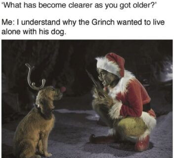40 Funny Grinch Memes For When Your Heart Feels Two Sizes Too Small