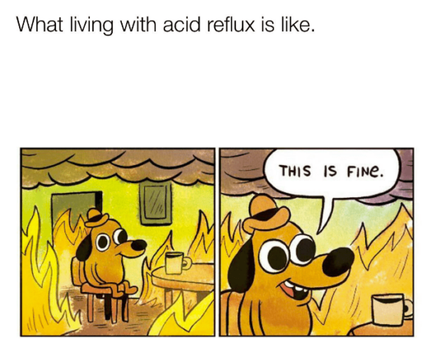 20 Funny Heartburn Memes For Folks Who Eat From The 7-11 Meat Terrarium