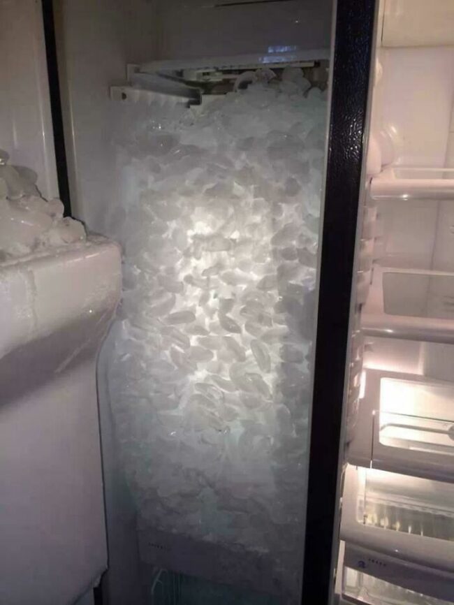 35 Hilarious Times People Found Something Unexpected In Their Fridge