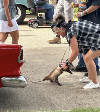 35 Hilariously Chaotic Car Show Pictures As Shared By "Car Show Critters"