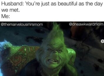40 Funny Grinch Memes For When Your Heart Feels Two Sizes Too Small