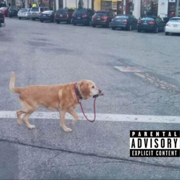 50 Captivating Images That Scream 'Album Cover Material'