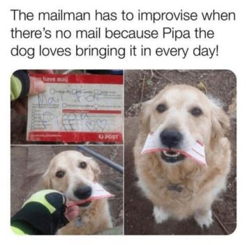 40 Funny Animal Memes To Add Laughter To Your Workweek (December 11, 2023)