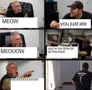 40 Funny Cat Memes For A Smooth Start To The Work Week (December 4, 2023)