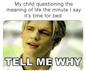 45 Funny Toddler Memes For When Parenting Gets Hilariously Real