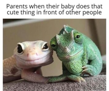 40 Funny Memes That First-Time Parents Will Totally Get (December 26, 2023)