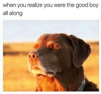 40 Funny Animal Memes To Add Laughter To Your Workweek (December 11, 2023)