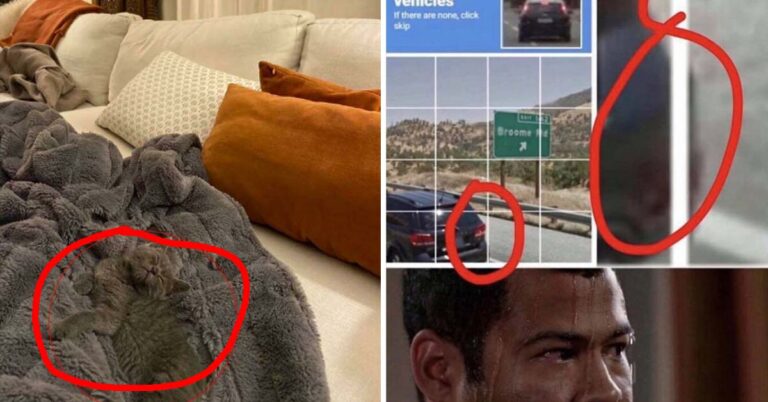 35 Funny Times The Red Circle Was Crucial To Understanding The Picture