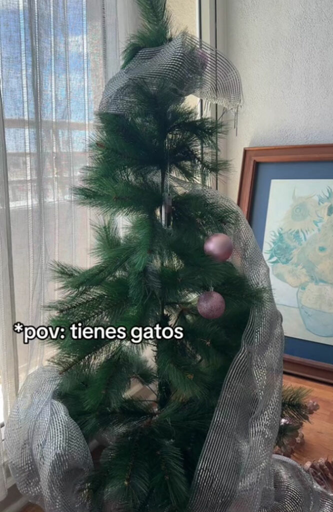 35 Funny Times People Shared Hilariously Sad And Chaotic Christmas Decor