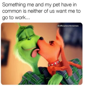 40 Funny Grinch Memes For When Your Heart Feels Two Sizes Too Small