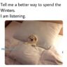 35+ Snow Memes To Melt Away Your Winter Blues