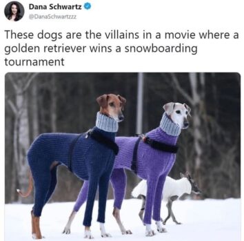 40 Funny Animal Memes To Add Laughter To Your Workweek (December 11, 2023)