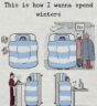 35+ Snow Memes To Melt Away Your Winter Blues