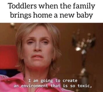 45 Funny Toddler Memes For When Parenting Gets Hilariously Real