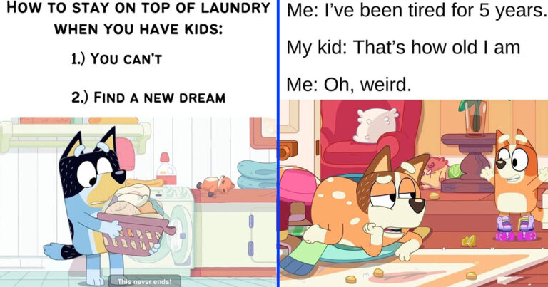 40+ Funny "Bluey" Memes Parents Will Feel In Their Bones