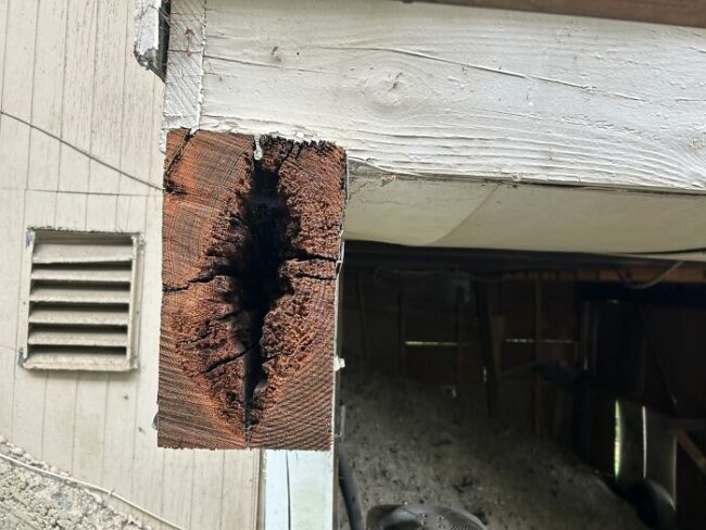 Structural Inspector Shares 30 Pictures Of The Most Bizarre, Hilarious ...