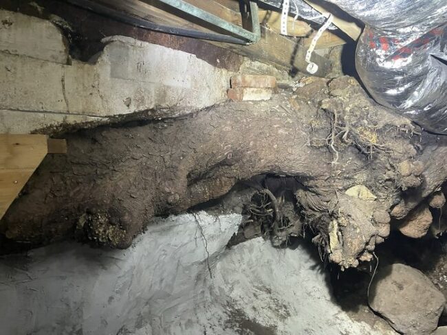 Structural Inspector Shares 30 Pictures Of The Most Bizarre, Hilarious ...