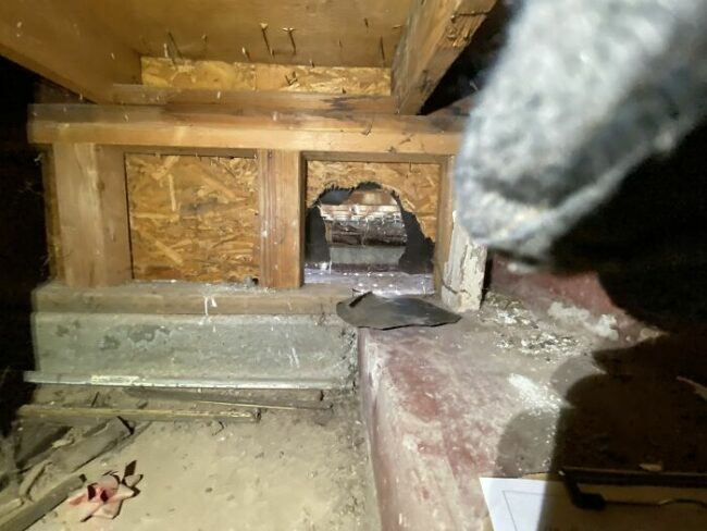 Structural Inspector Shares 30 Pictures Of The Most Bizarre, Hilarious ...