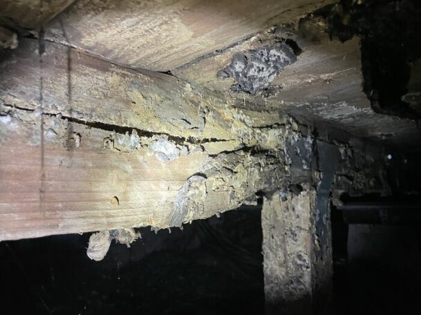 Structural Inspector Shares 30 Pictures Of The Most Bizarre, Hilarious ...