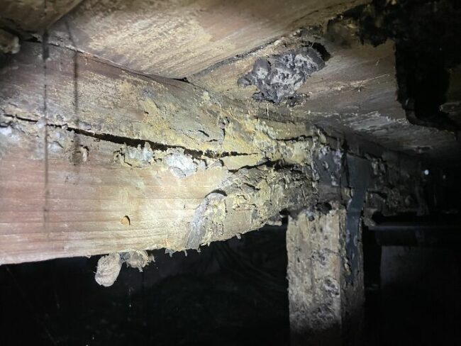 Structural Inspector Shares 30 Pictures Of The Most Bizarre, Hilarious ...