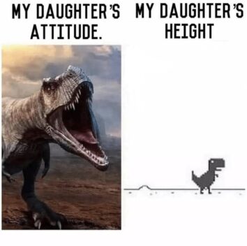45 HIlariously Relatable Memes For Parents Raising Daughters With More ...