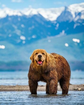 Artist Photoshops Two Animals Together To Create Imagined Creatures ...