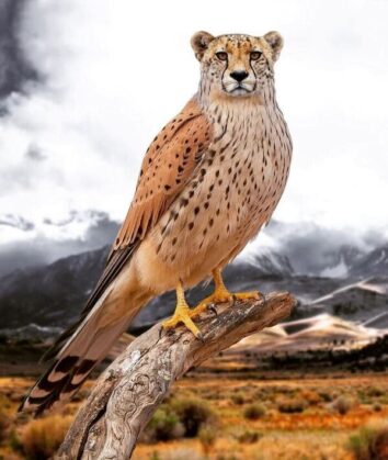 Artist Photoshops Two Animals Together To Create Imagined Creatures ...