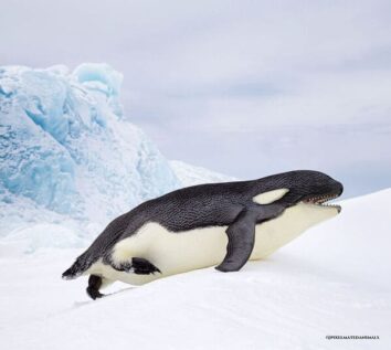 Artist Photoshops Two Animals Together To Create Imagined Creatures ...