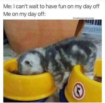 40+ Funny And Relatable Work Memes For Surviving The First Week Back ...