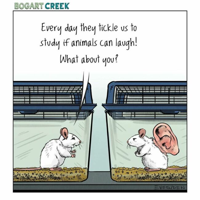 65 Hilariously Dark Single-Panel Comics From Cartoonist Derek Evernden