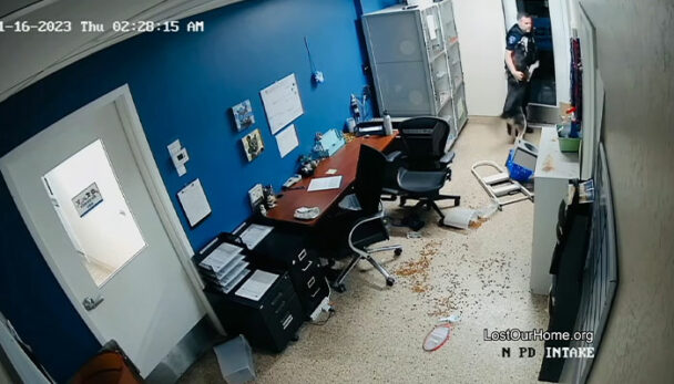 Rascal Dog Escapes Shelter Kennel In Attempt To Free His Friends